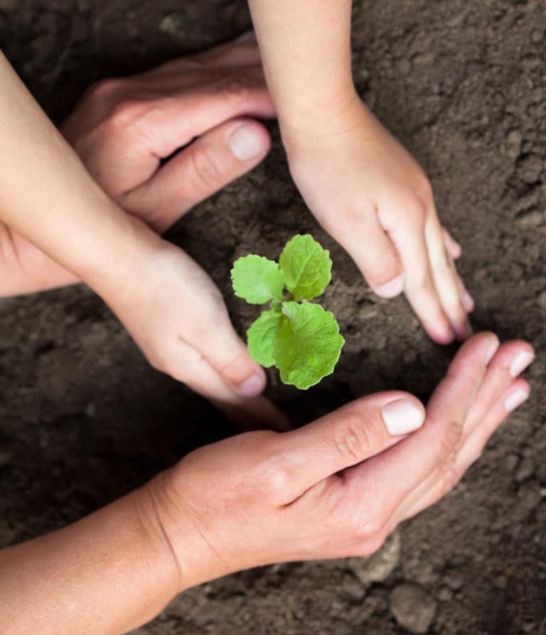 Hands Carpets launches a design competition