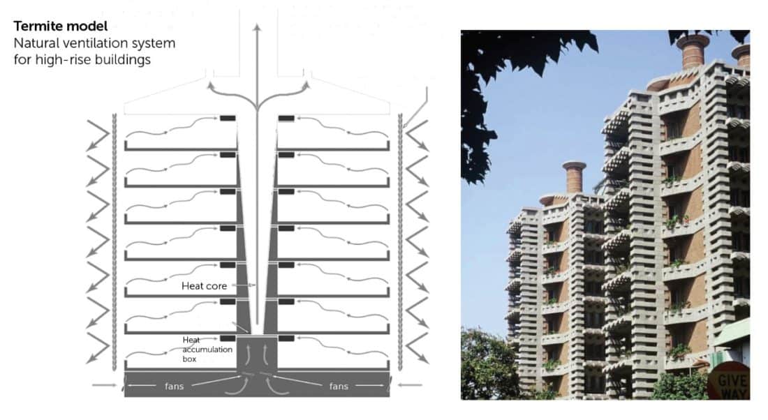 Patterns of life: Designing with nature - Design Middle East